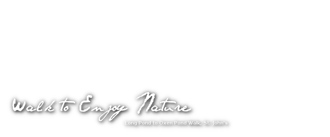 nature_lpop – Grand Concourse Authority